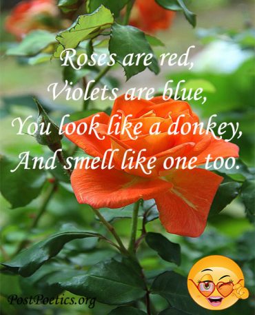 Funny Roses are Red Violets are Blue Poems, Memes, Jokes