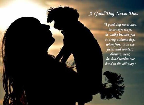 10 Short Loss of A Dog Poems | Pet Lose Quotes & Poems