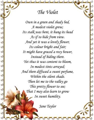 23 Short Poems About Flowers Blooming in English
