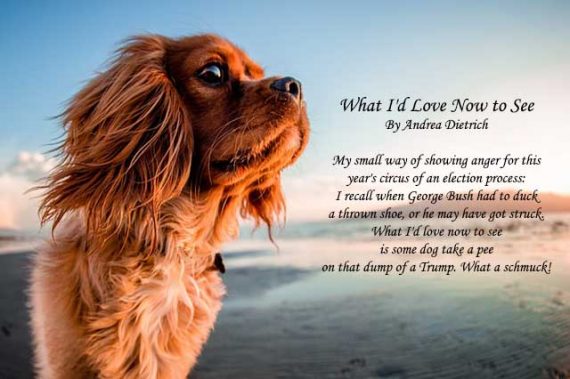 15 Best Dog Poems Love Unconditional | Dog Loyalty Poems