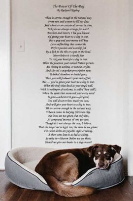 15 Best Dog Poems Love Unconditional | Dog Loyalty Poems