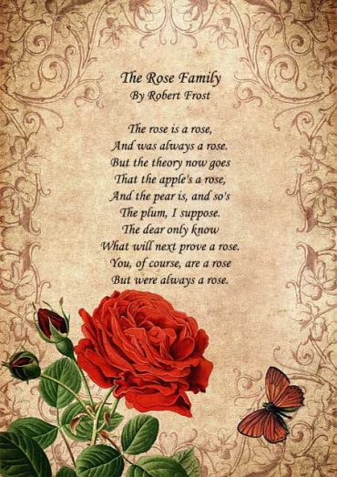 20 Short Poems About Roses Love, Life, Death & Friendship
