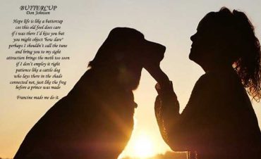 15 Best Dog Poems Love Unconditional | Dog Loyalty Poems