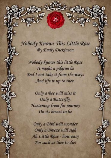 20 Short Poems About Roses Love, Life, Death & Friendship