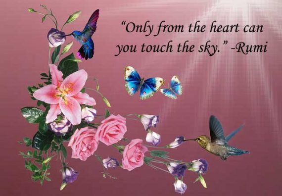 15 Hummingbirds Poems, Quotes To Inspire Joy & Happiness