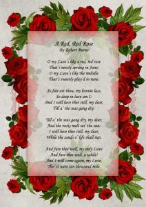 20 Short Poems About Roses Love, Life, Death & Friendship