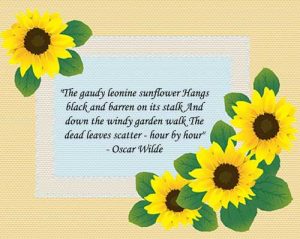20 Short Sunflowers Poems, Quotes About Love and Life