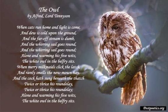 Short Owl Love Poems By Famous Poets That Rhyme