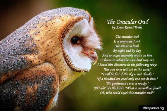 Short Owl Love Poems By Famous Poets That Rhyme